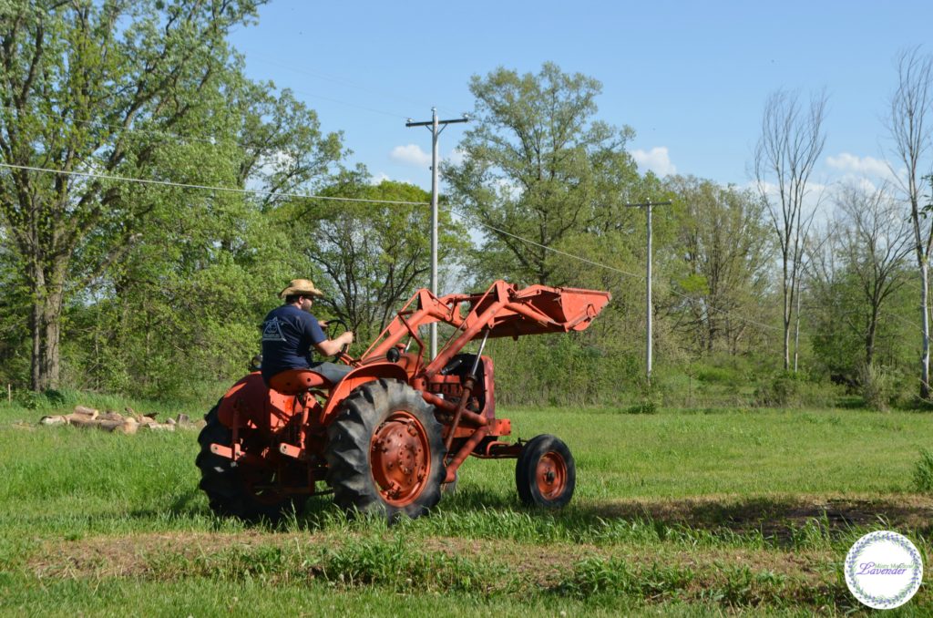 Is a Tractor Worth the Investment? - Homestead Hustle