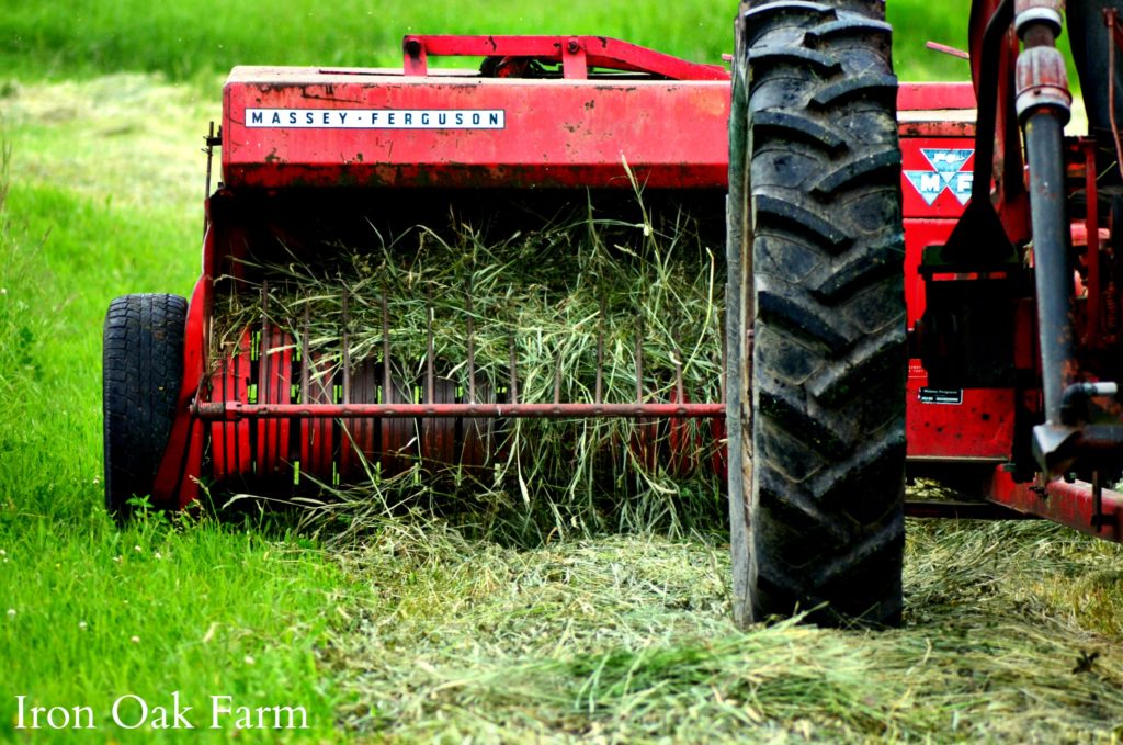 A Guide to Buying and Selling Hay Part 1 - Homestead Hustle