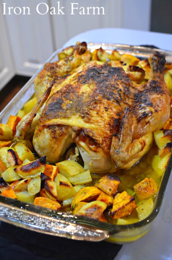 Skills to Work on Before You Begin Homesteading - Homestead Hustle