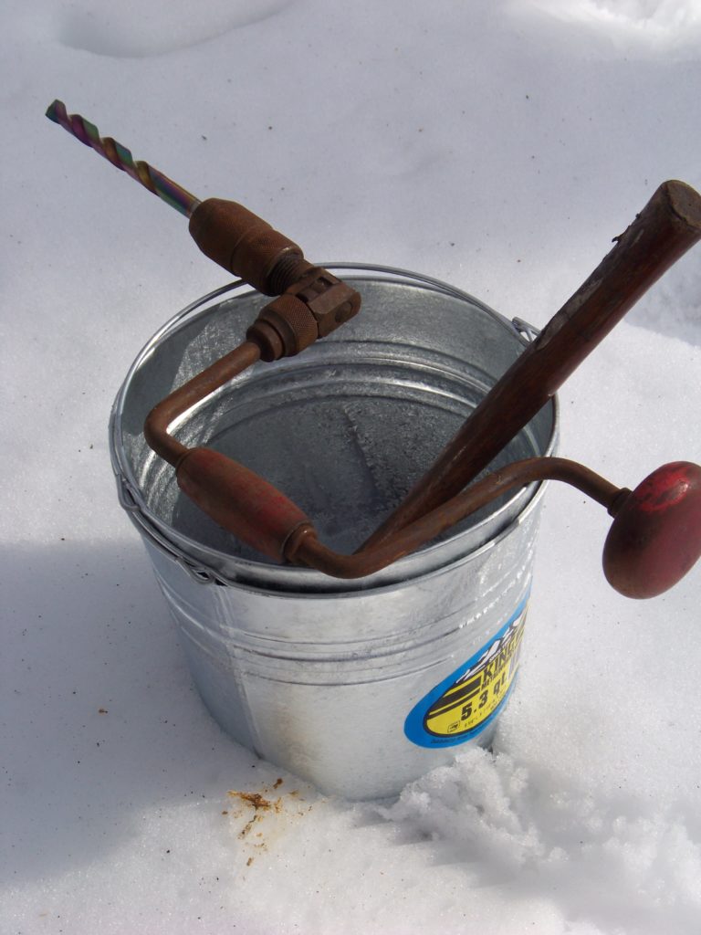 Making Money with Maple Syrup - Homestead Hustle
