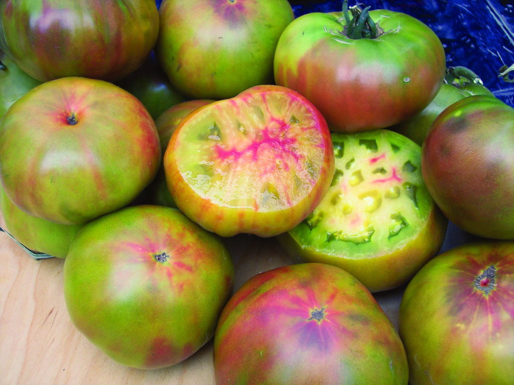 Best Tomatoes to Grow for Farmers Markets - Homestead Hustle